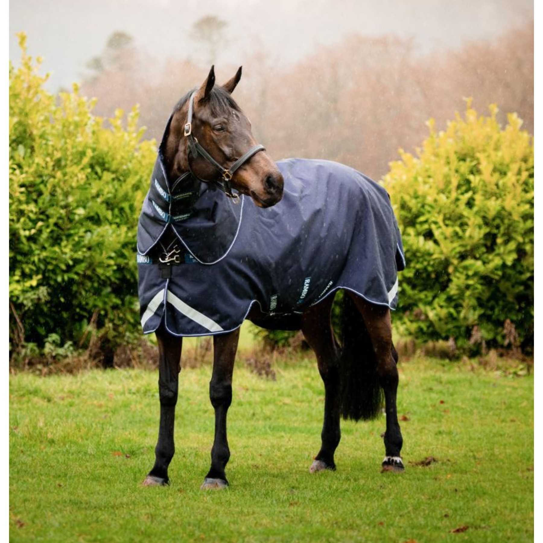 Rambo Duo Force õuetekk 100g (100g + 300g liner) - Damiro Equestrian