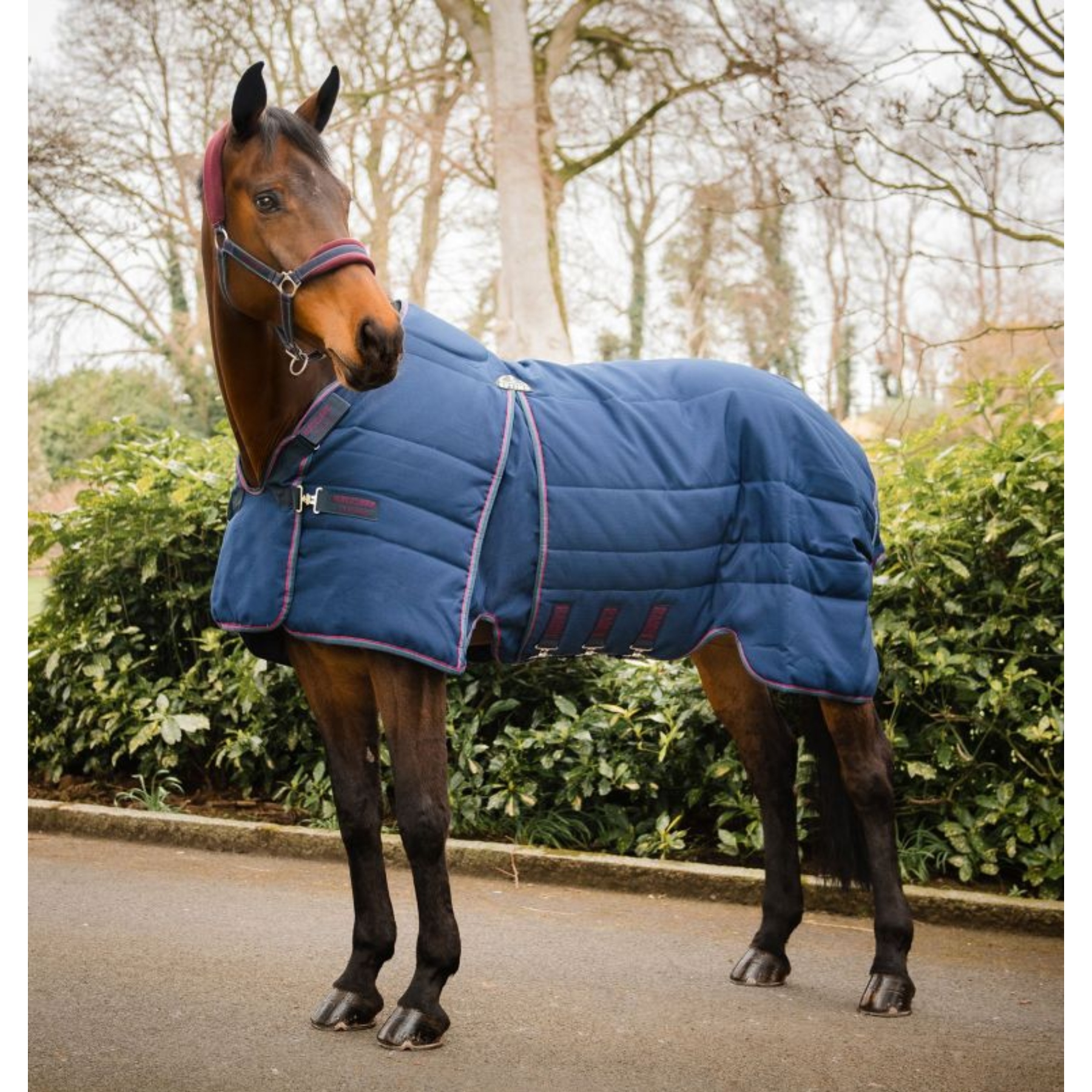 Rambo Optimo tallitekk 200g - Damiro Equestrian